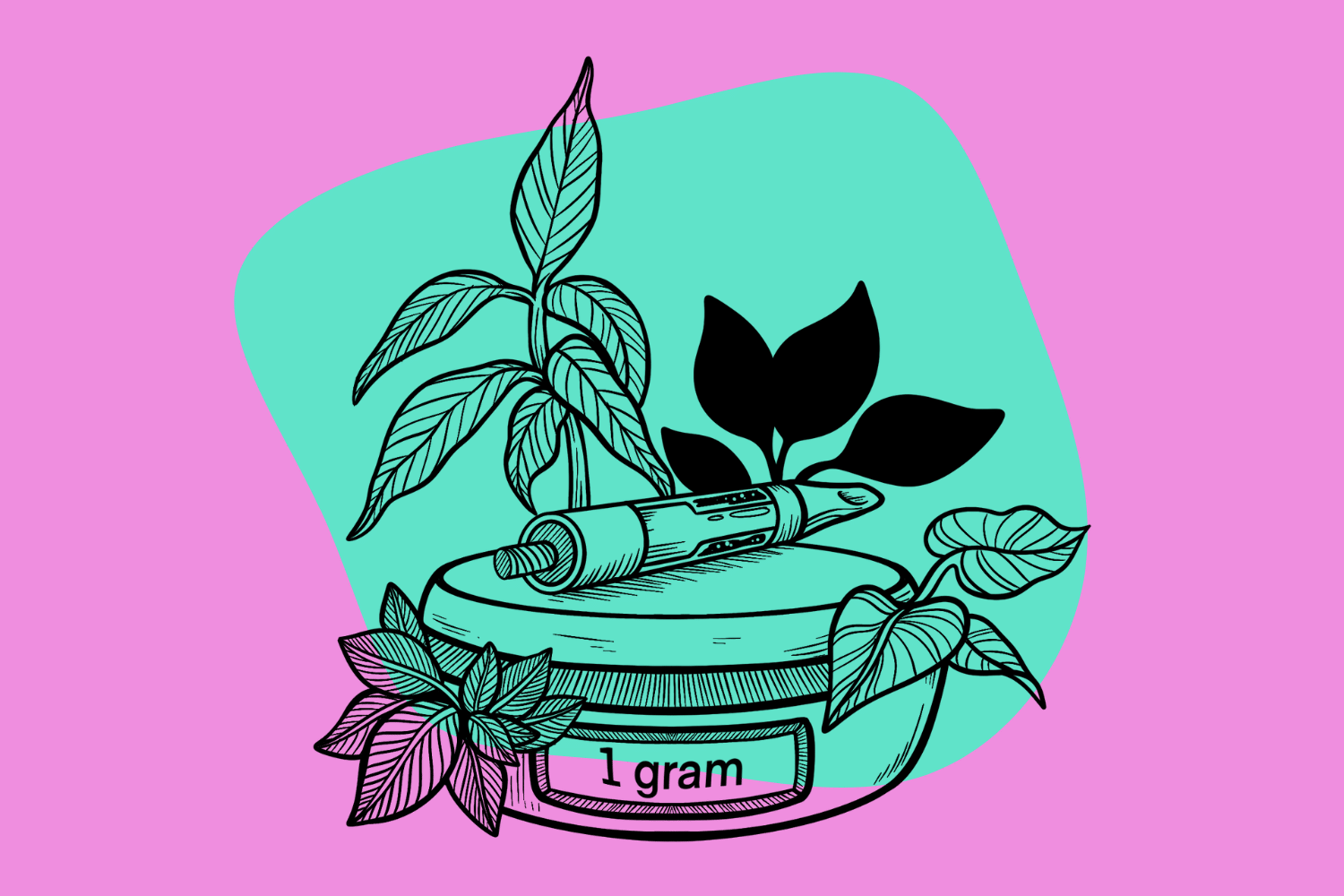 Your Guide to 1-Gram Cannabis Carts: How Long They Last & Where to Buy ...