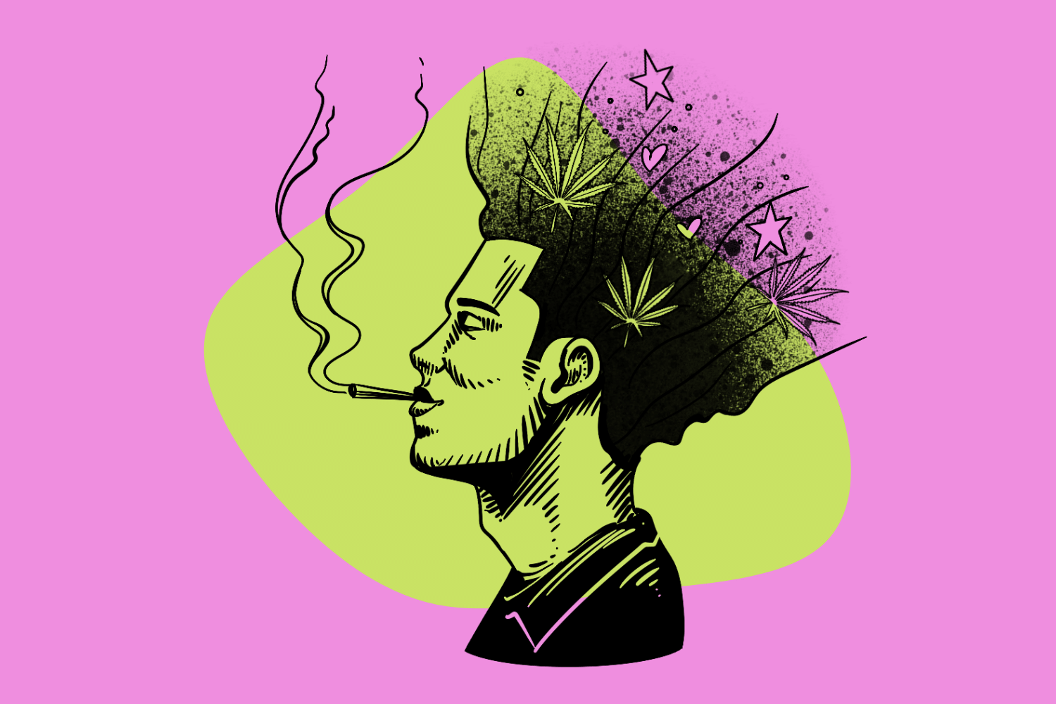 Highs & Lows: How Marijuana Affects the Brain - Tripsitter