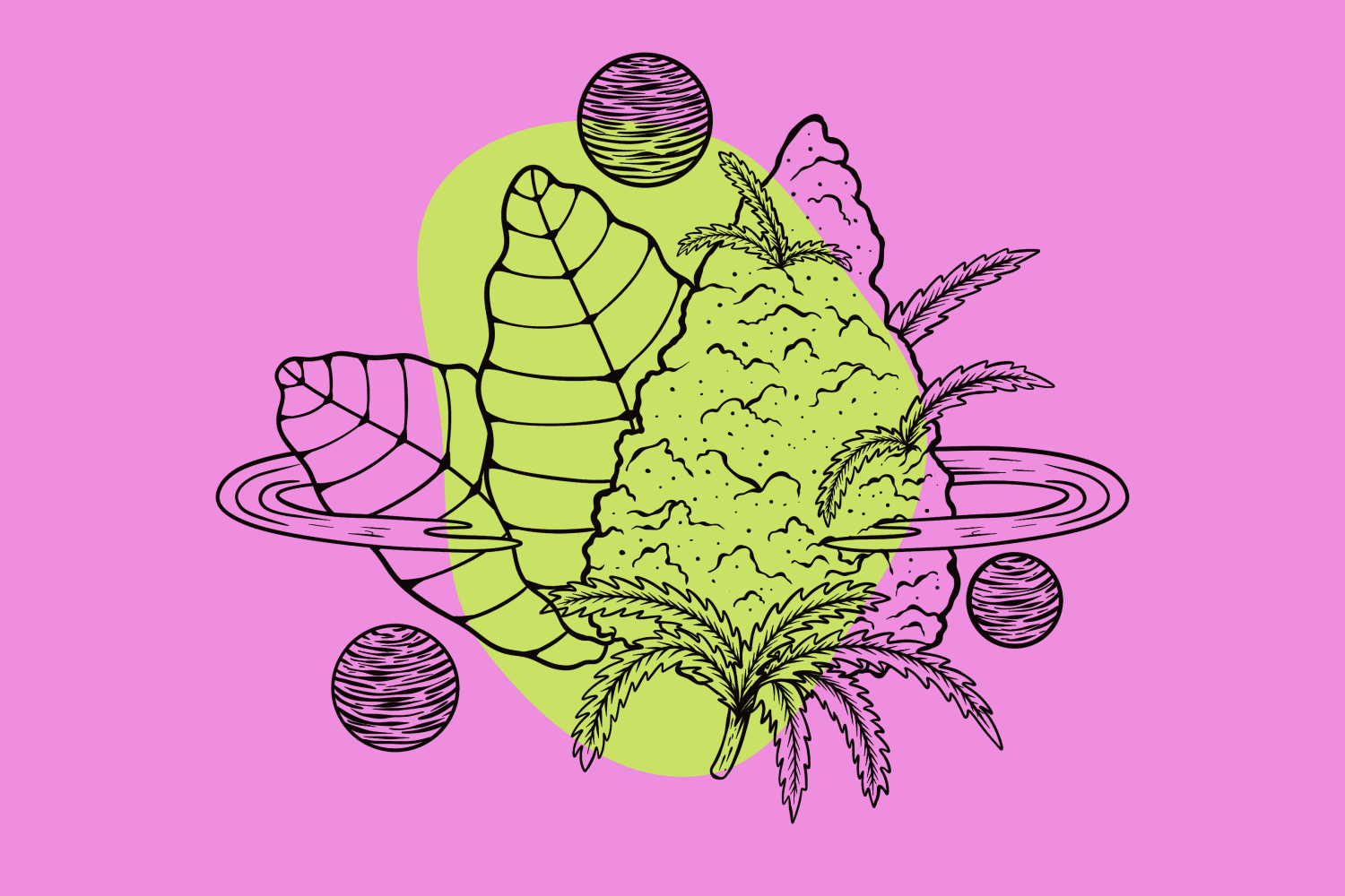 Kratom vs. Cannabis: Uses, Benefits, & Interactions - Tripsitter