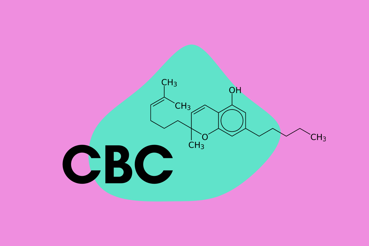 Cannabichromene (CBC): The Third Major Cannabinoid - Tripsitter