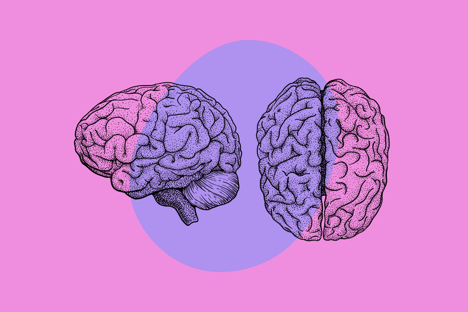 What’s The Default Mode Network? - Tripsitter