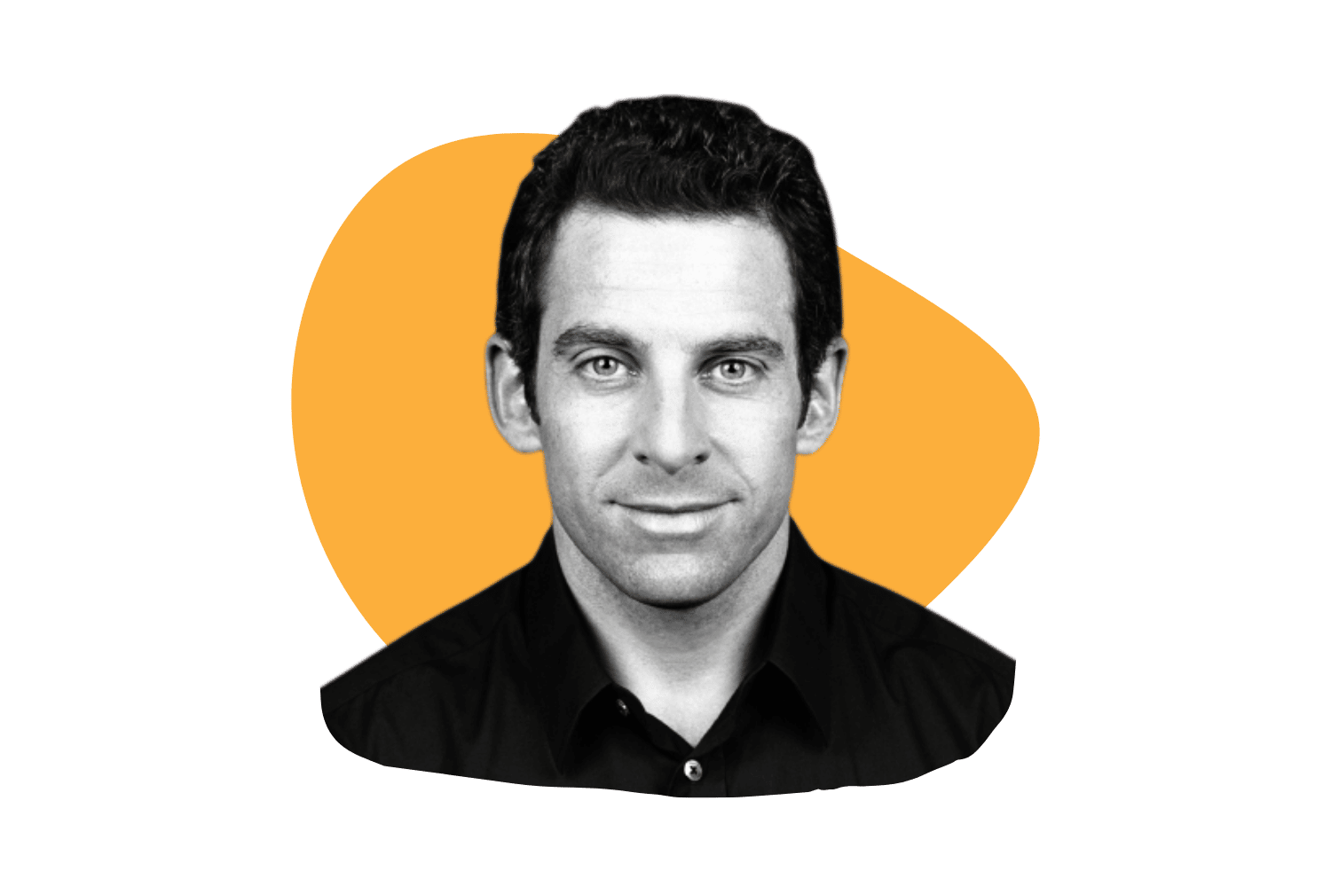 Important Psychonauts In the Psychedelic Space - Tripsitter