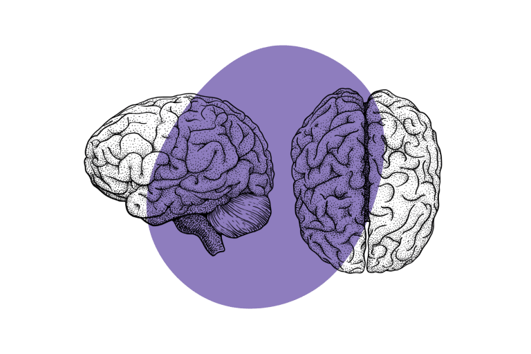 What’s The Default Mode Network? - Tripsitter