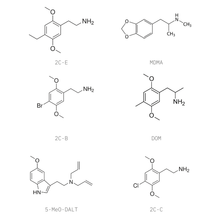 Alexander Shulgin: The Godfather of Psychedelics - Tripsitter