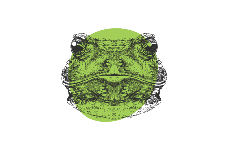 Psychoactive Toad Venom (Bufo Alvarius) - Tripsitter