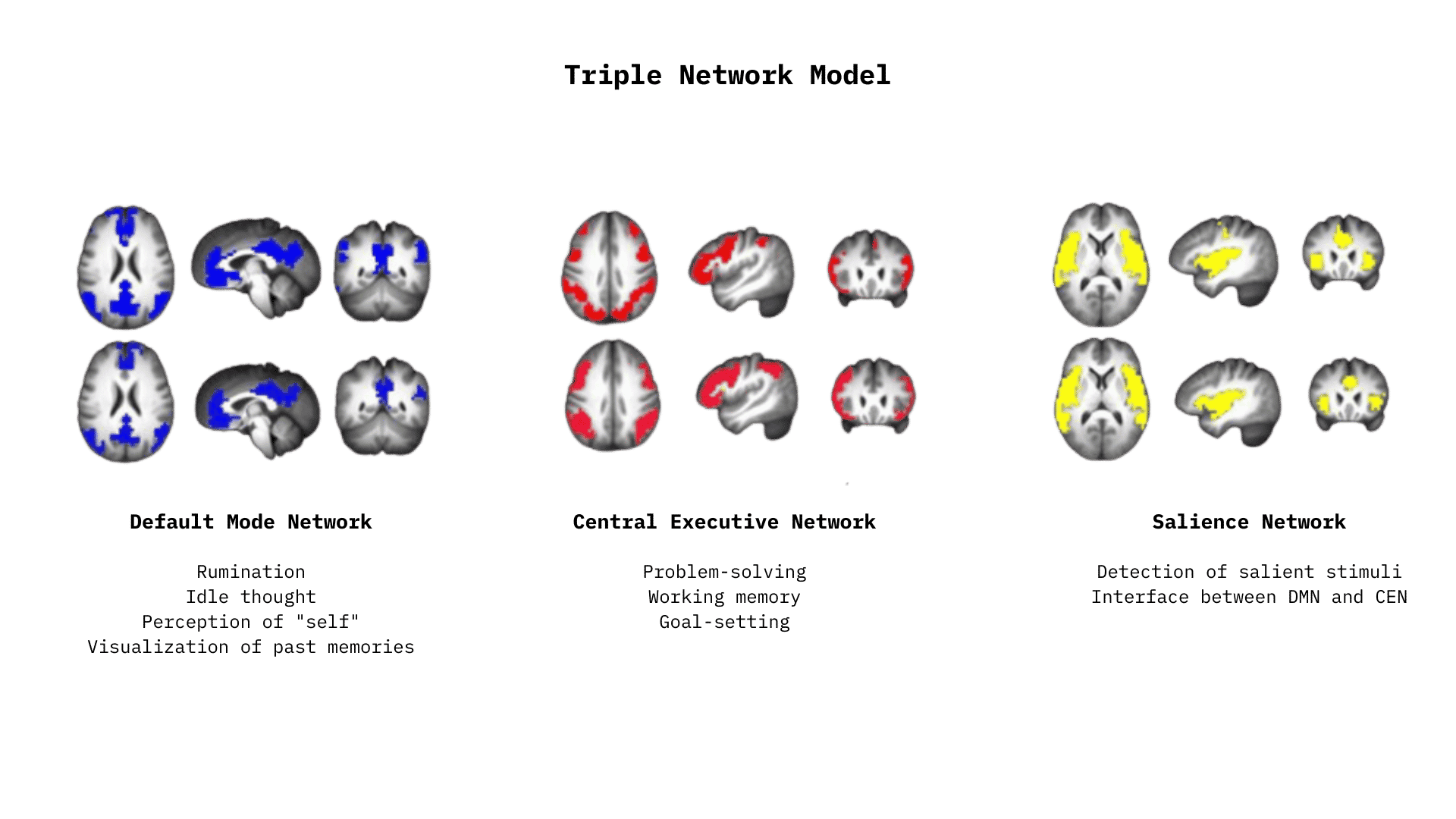 What’s The Default Mode Network? - Tripsitter