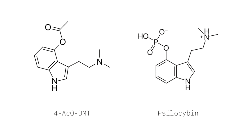 4-Aco-Dmt: Synthetic Mushrooms Research Chemical