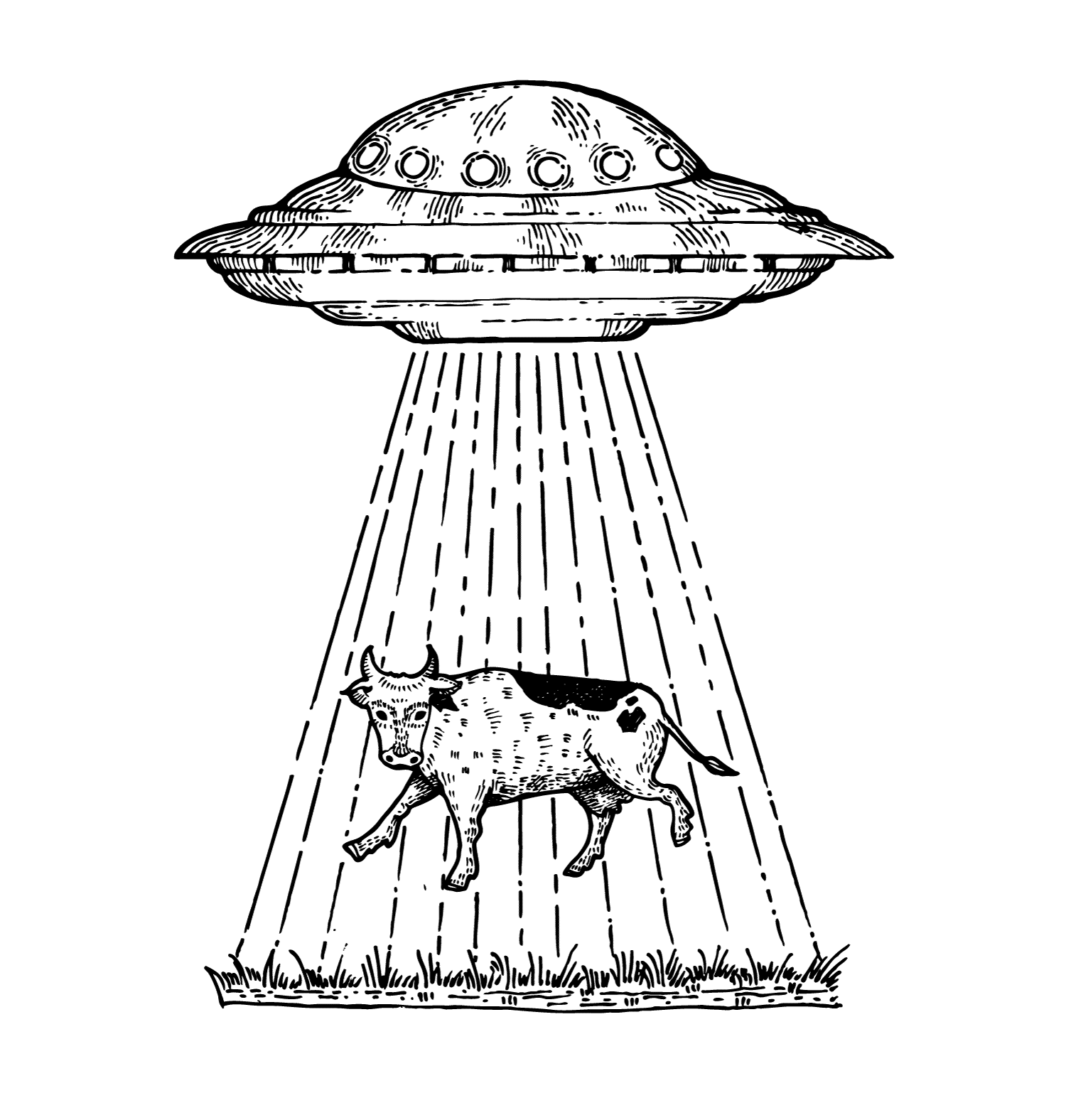 DMT Vape Pens: Ultimate Guide to Vaping DMT - Tripsitter