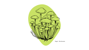 LSD Tolerance Calculator: What is LSD Tolerance? - Tripsitter