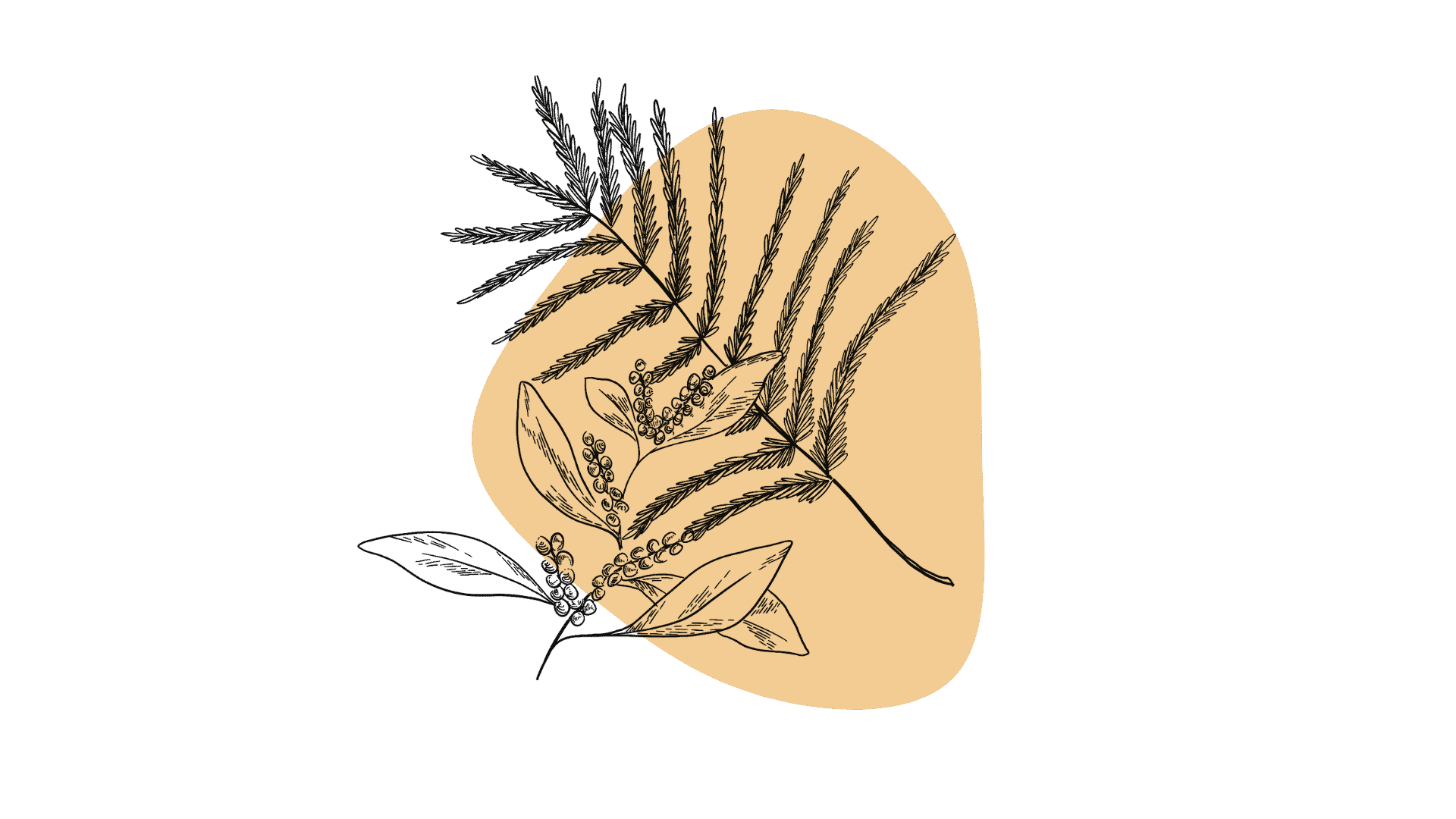 List of Plants That Contain DMT - Tripsitter