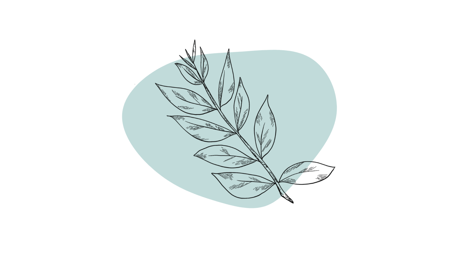 List of Plants That Contain DMT - Tripsitter