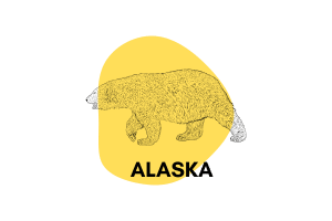 Where Are Psychoactive Drugs Legal in the United States? Country-Wide ...