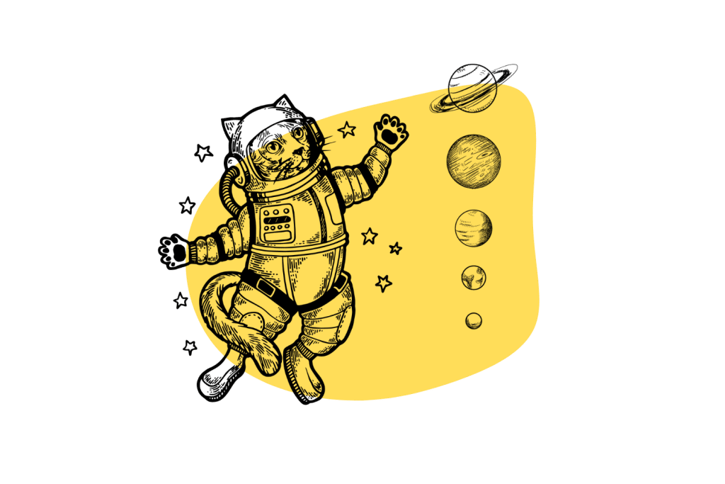 What Is Kitty Flipping? Ketamine x MDMA - Tripsitter