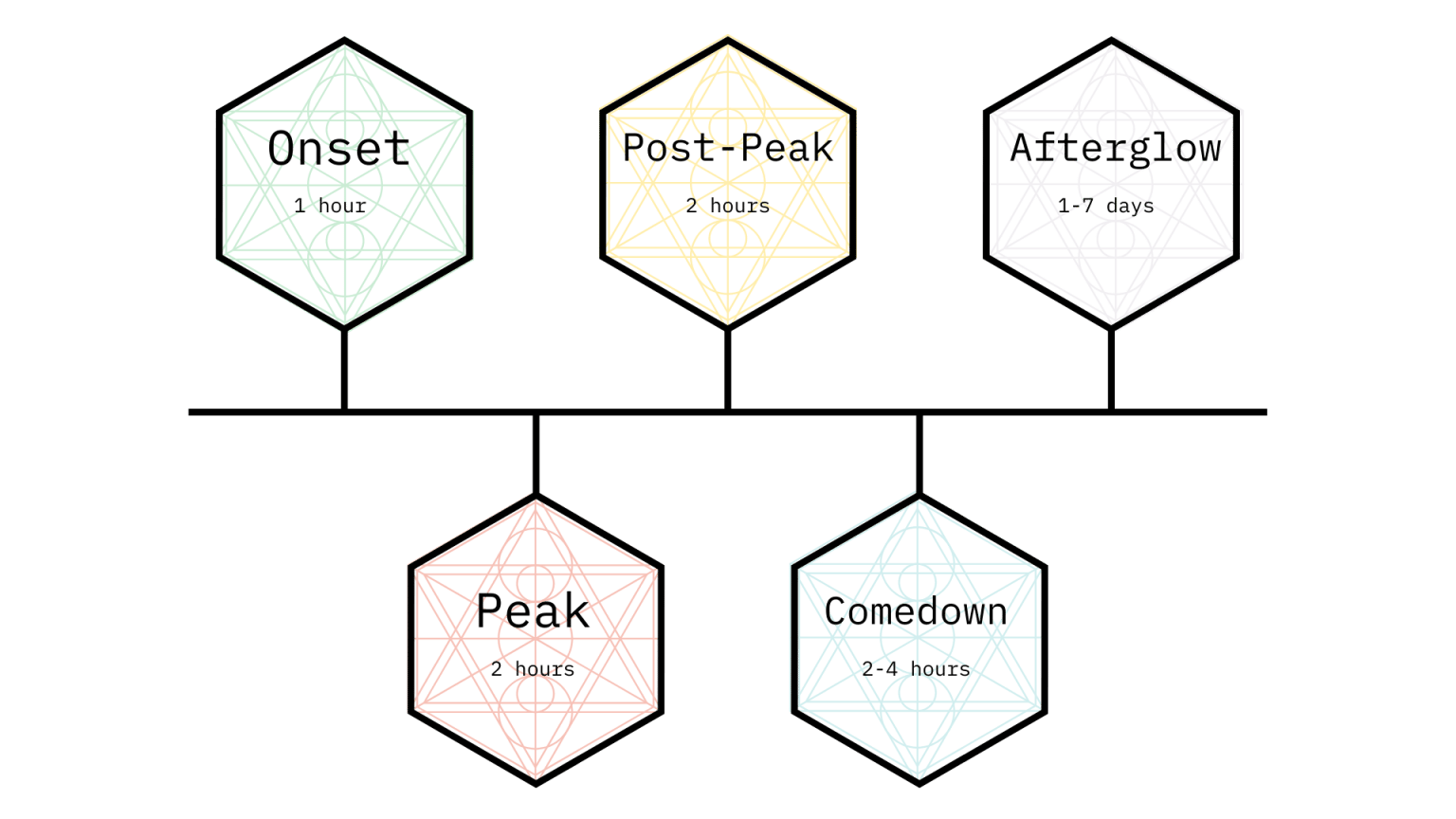 How Long Does LSD Last? - Tripsitter