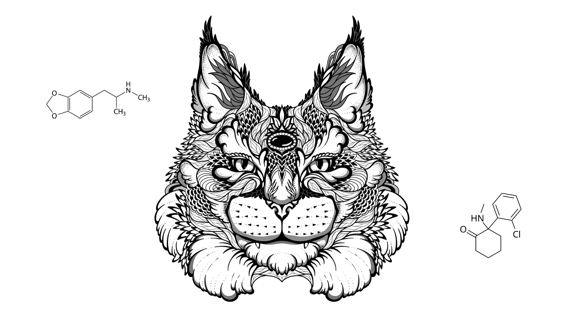 What Is Kitty Flipping? Ketamine x MDMA - Tripsitter