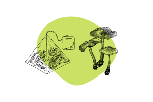 How to Make Shroom Tea: Step-By-Step Guide - Tripsitter