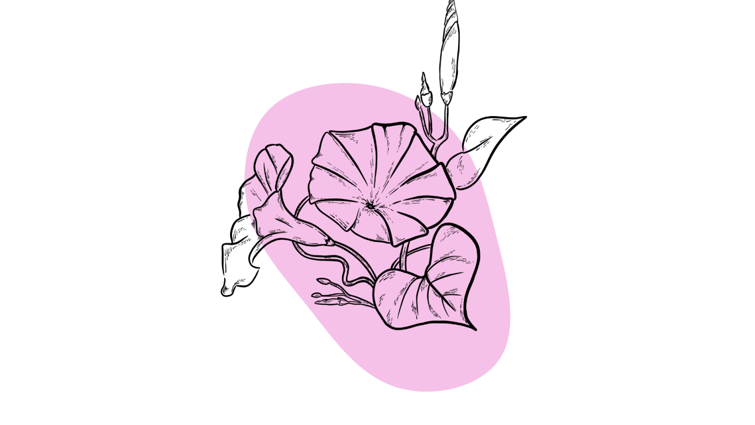 Oneirogens: Substances That Make You Dream (Natural & Synthetic ...