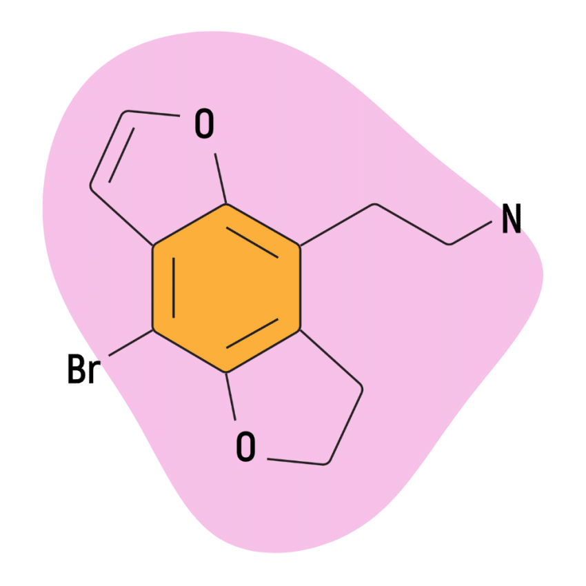 2C Psychedelics - Tripsitter
