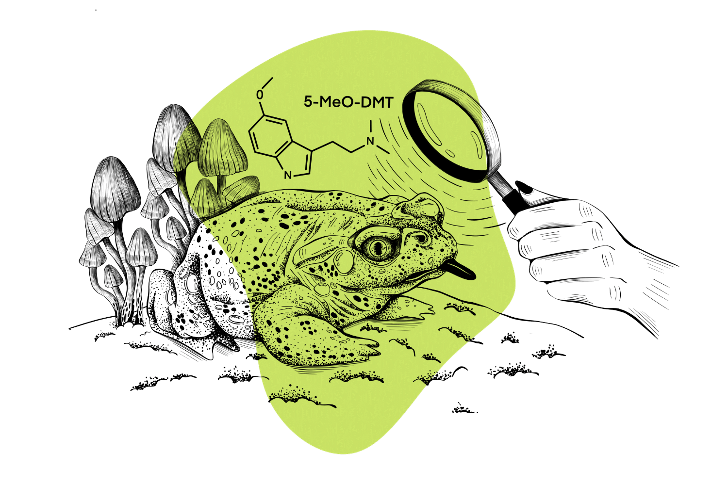 5 Meo Dmt Unpacking The Mysteries Of This Powerful Psychedelic Tripsitter
