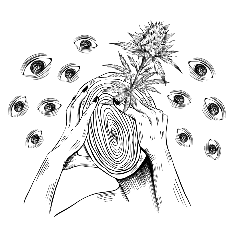 What Is Indica Weed? Is It Really Different from Sativa? - Tripsitter