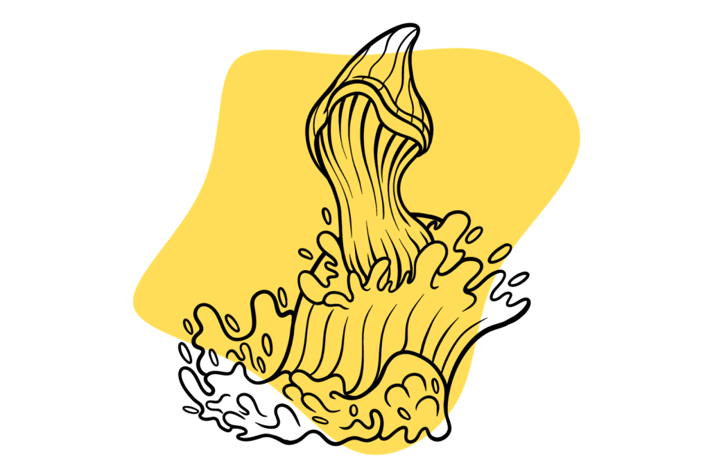 Z-Strain Magic Mushrooms: Potency, Effects, & Growing Tips - Tripsitter