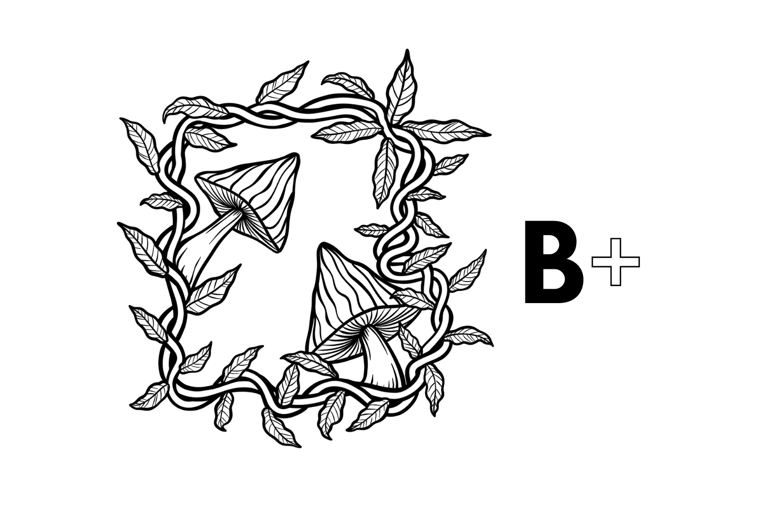 Z-Strain Magic Mushrooms: Potency, Effects, & Growing Tips - Tripsitter