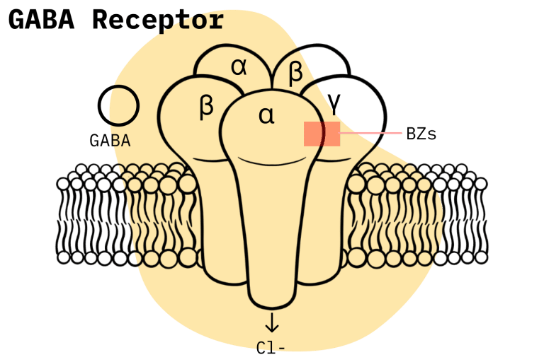 Estazolam (ProSom): Safety, Effects, & More - Tripsitter