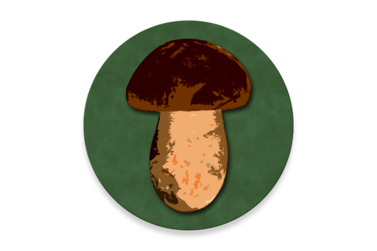 Fungi at Your Fingertips: Exploring the Best Mushroom Identification ...