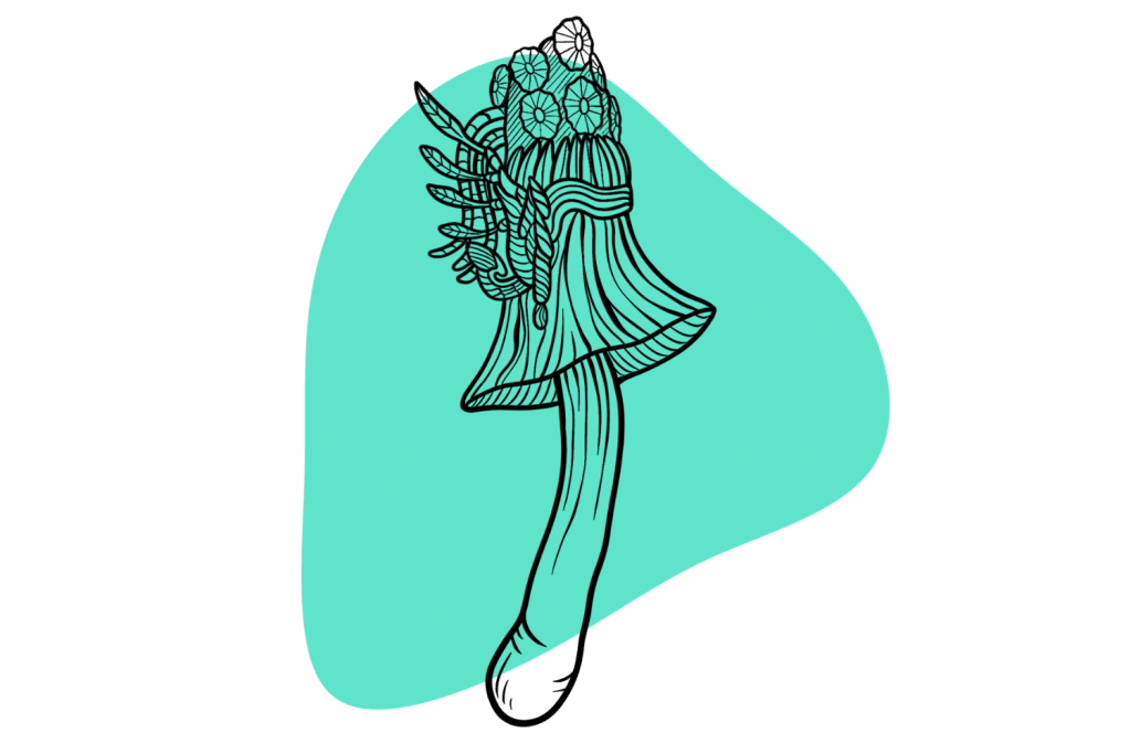 Z-Strain Magic Mushrooms: Potency, Effects, & Growing Tips - Tripsitter