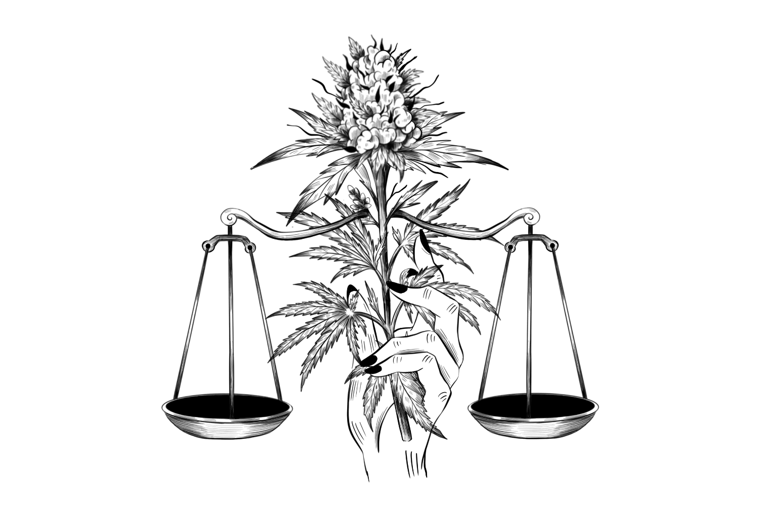 THCA (THC-Acid): Legal Loopholes & the Science of THCA - Tripsitter