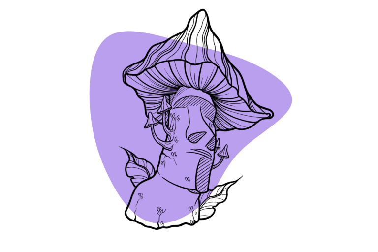 Z-Strain Magic Mushrooms: Potency, Effects, & Growing Tips - Tripsitter