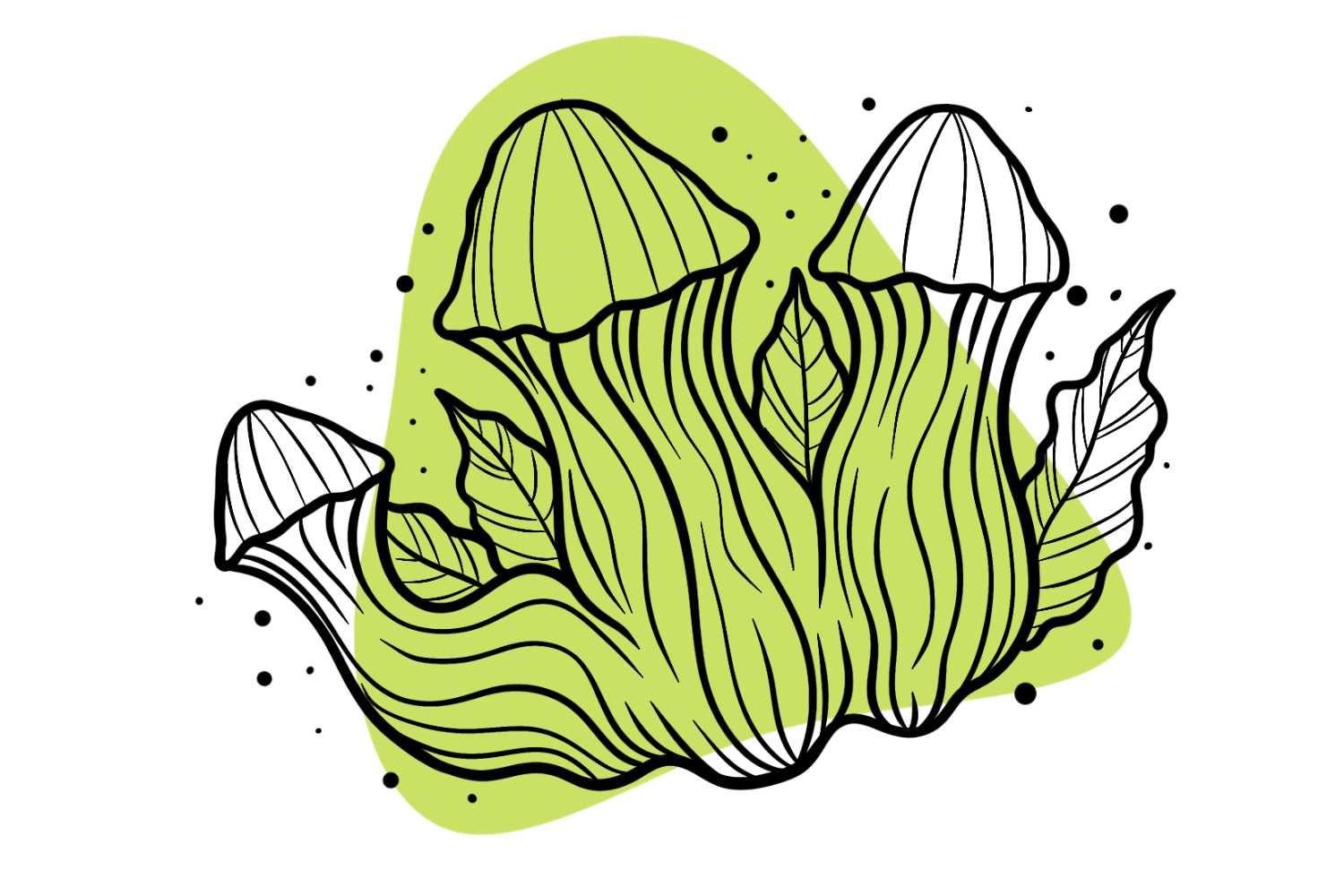 The Chodewave Strain: A Mysterious Psilocybe cubensis - Tripsitter