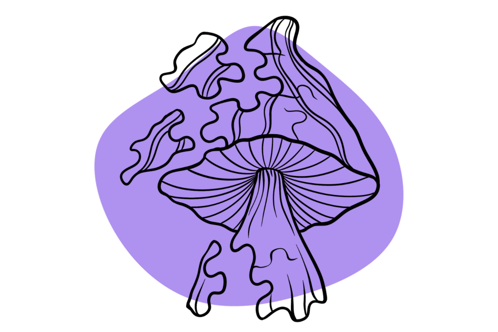 Z-Strain Magic Mushrooms: Potency, Effects, & Growing Tips - Tripsitter