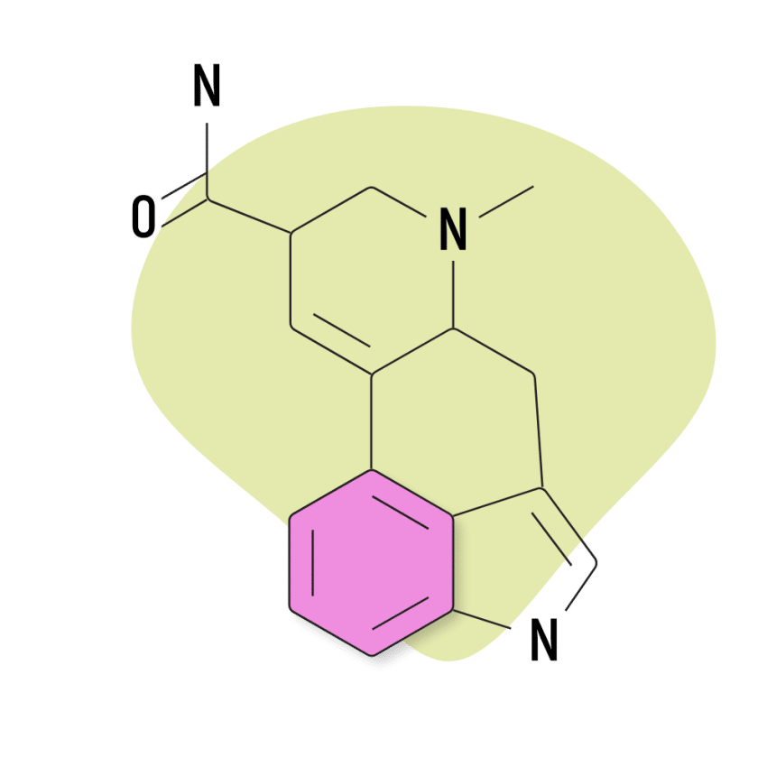 Lysergamide Psychedelics - Tripsitter