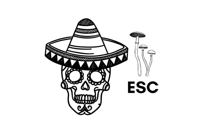 Sacred Fungi of Mexico: The Palenque Mexico Strain - Tripsitter