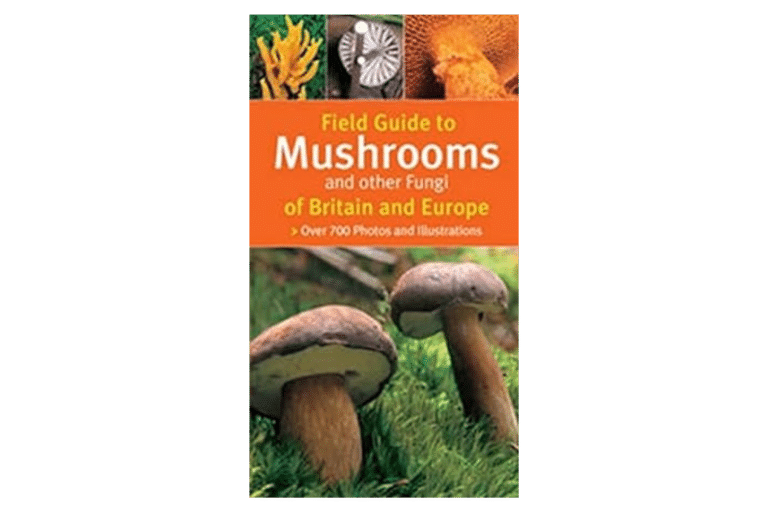 Fungi at Your Fingertips: Exploring the Best Mushroom Identification ...
