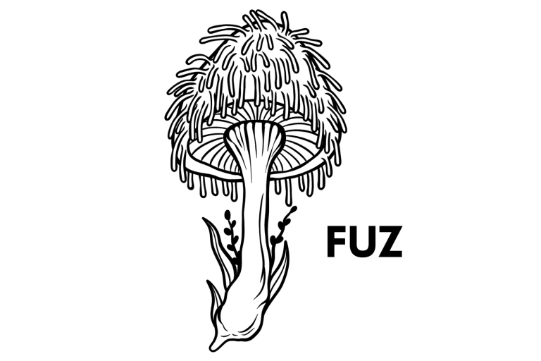 What Shrooms Are the Strongest? Top Strains & Species Ordered By ...