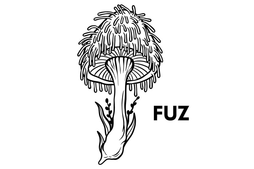 What Shrooms Are the Strongest? Top Strains & Species Ordered By ...