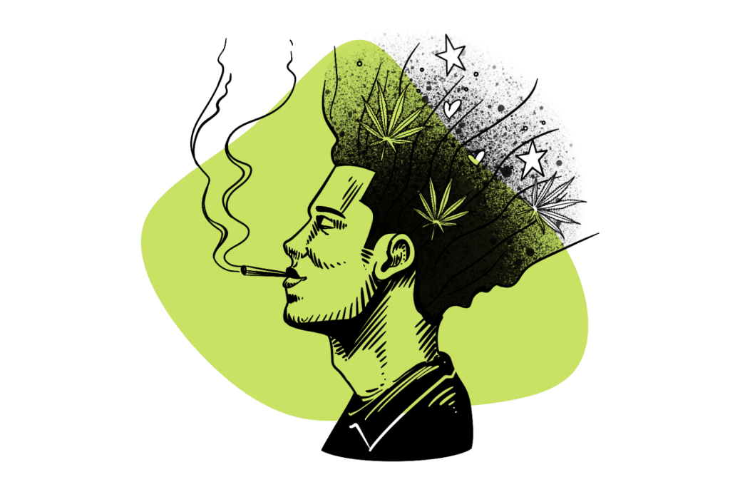 Highs & Lows: How Marijuana Affects the Brain - Tripsitter