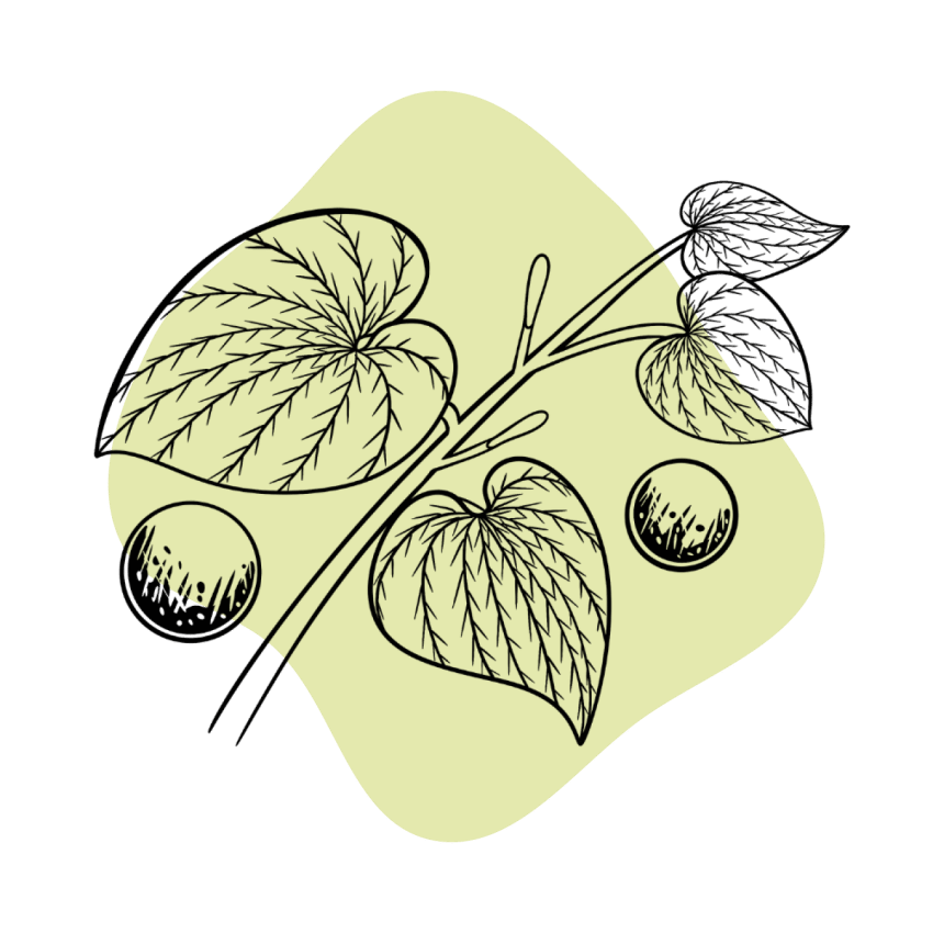 Nimetazepam (Mogadon): A Long-acting Benzodiazepine - Tripsitter