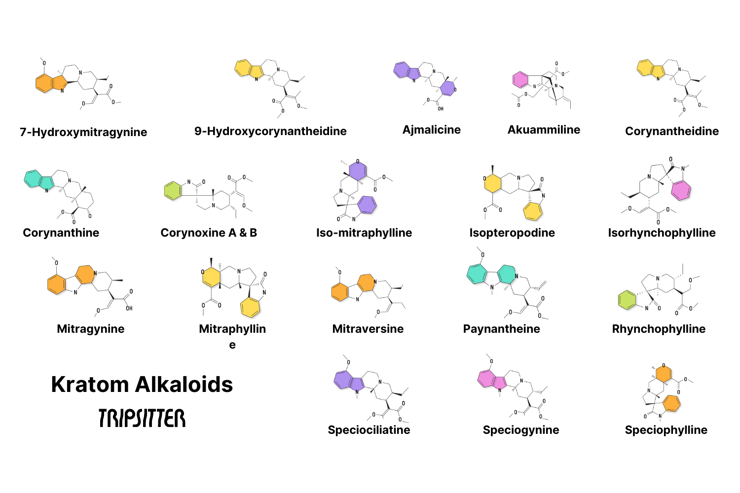 The Truth About Kratom & Your Kidneys - Tripsitter