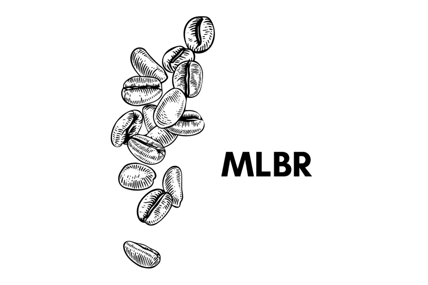 Orissa India Shroom Strain: One of the Largest and Most Potent Cubensis ...