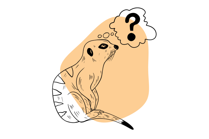 Clotiazepam (Clozan) Fact Sheet & Harm Reduction Guide - Tripsitter