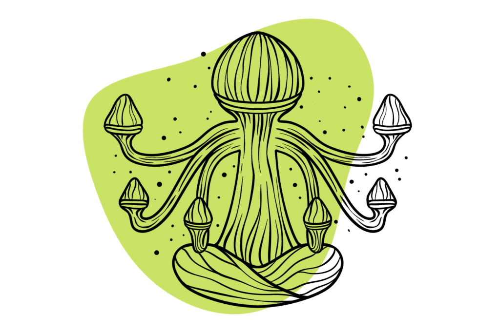 Z-Strain Magic Mushrooms: Potency, Effects, & Growing Tips - Tripsitter