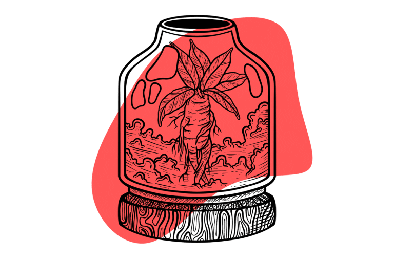 Deliriants - Tripsitter