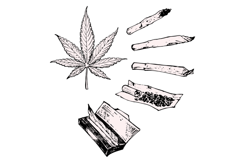 Highs & Lows: How Marijuana Affects the Brain - Tripsitter