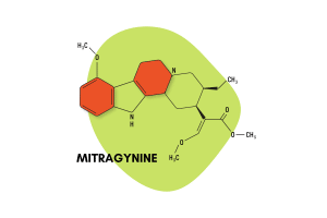 What is Mitragynine? Everything You Need to Know About Kratom’s Primary ...