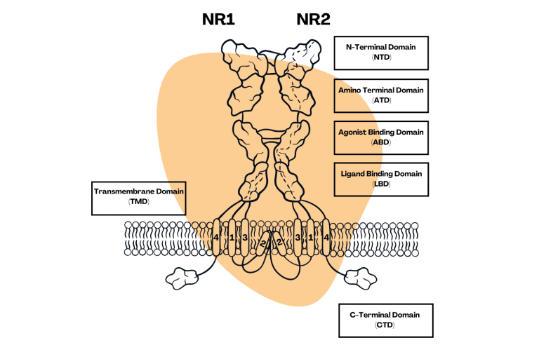 List of All Common Dissociative Drugs & Their Effects - Tripsitter
