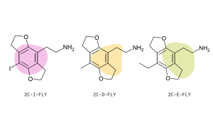 2C Psychedelics — Tripsitter | Psychedelic Pharmacopoeia
