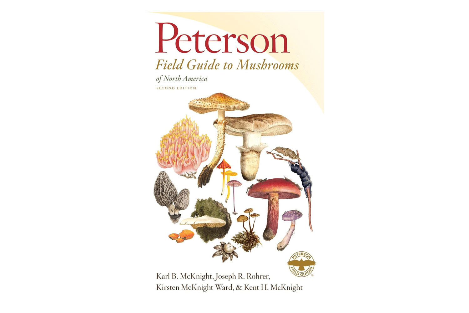 Fungi at Your Fingertips: Exploring the Best Mushroom Identification ...